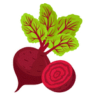 Vegetables Names in English and Hindi PDF Download
