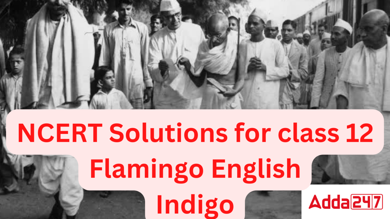 Indigo NCERT Solutions for Class 12 English Flamingo Chapter 5
