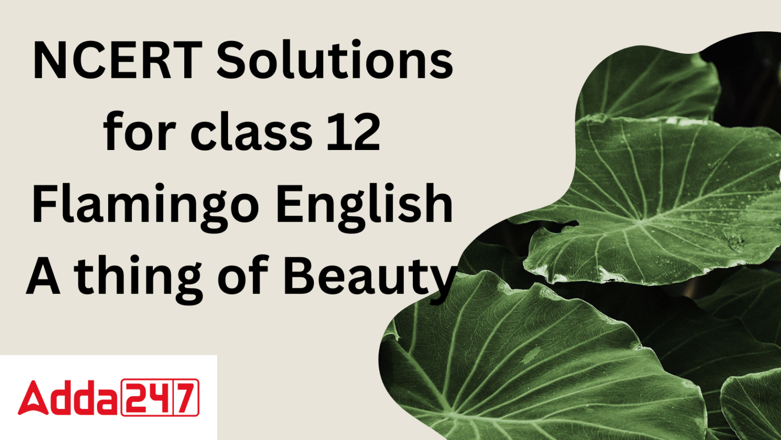 NCERT Solutions For Class 12 English Flamingo Chapter 4 Poetry A Thing