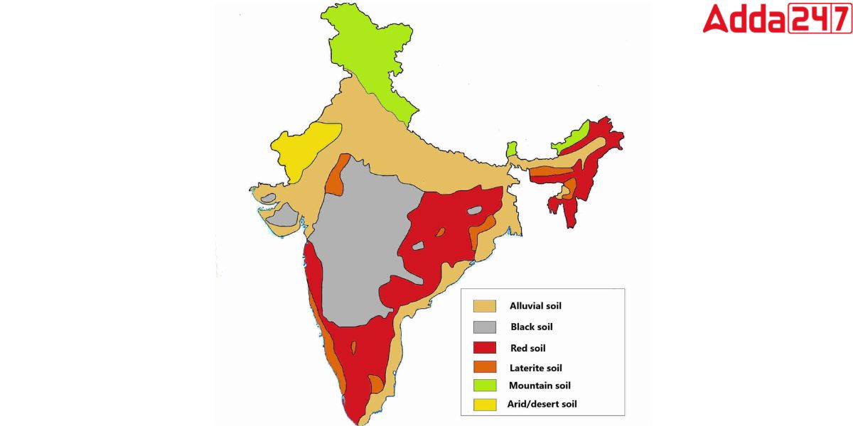 Types Of Soil In India Characteristics And Classification types-of-soil-in-india-characteristics-and-classification