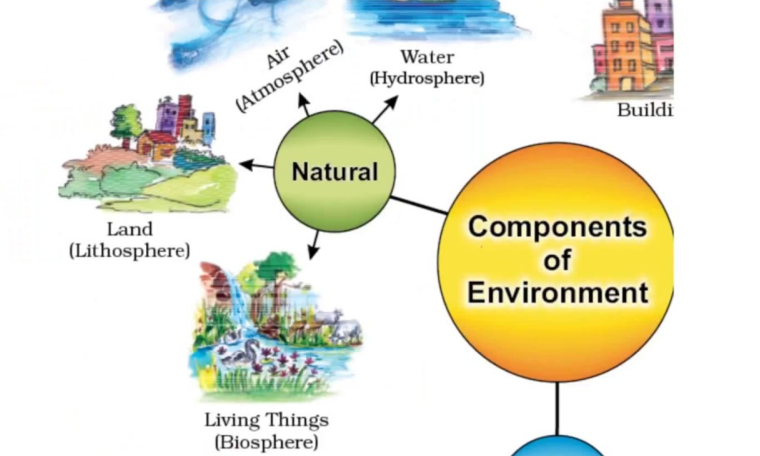 Components Of Environment Definition Chart PDF For Class 7
