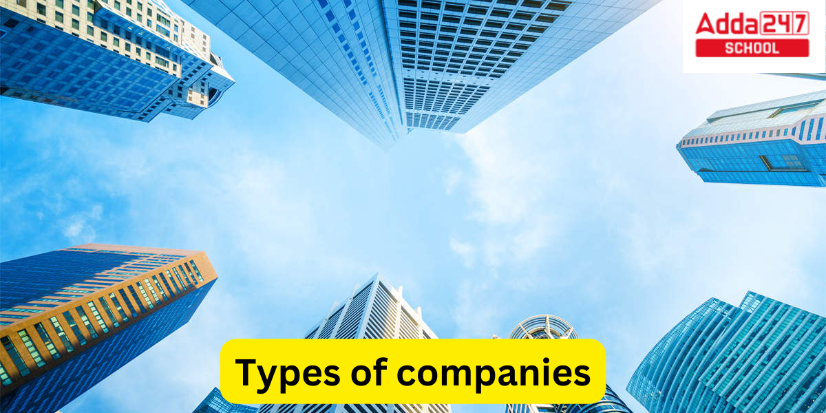 Types of Companies in India 2023