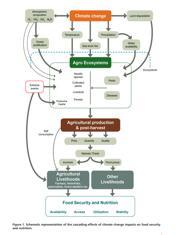 Analysis of Down to Earth Magazine: How Climate Change Impacting Global ...