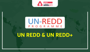 UN REDD and UN REDD+