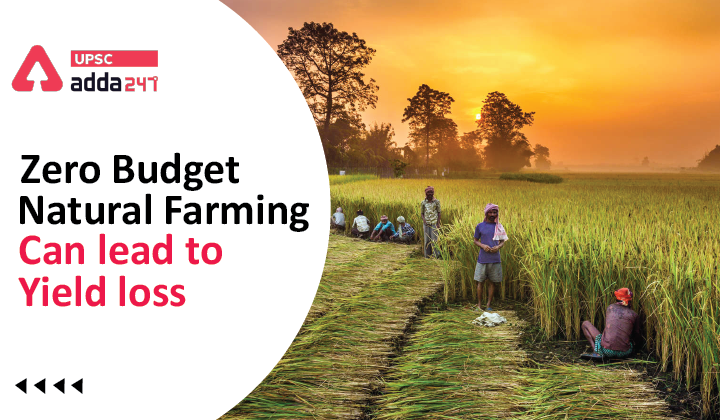 Zero Budget Natural Farming can Lead to Yield Loss
