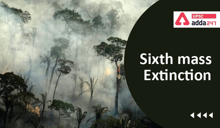 Sixth Mass Extinction: What we know so far
