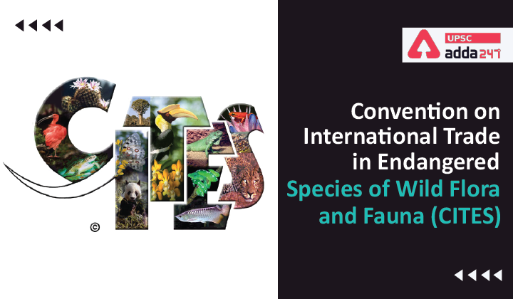 Convention on International Trade in Endangered Species of Wild Flora ...