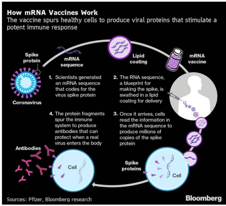 Analysis Of Down To Earth Magazine: "mRNA Vaccine Breakthrough"