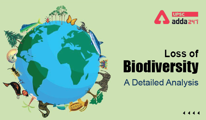 Loss of Biodiversity: A Detailed Analysis