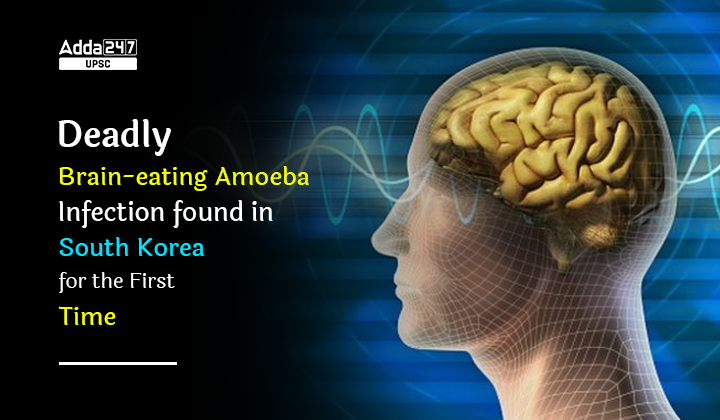 Primary Amebic Meningoencephalitis (PAM) Deadly Brain-eating Amoeba ...