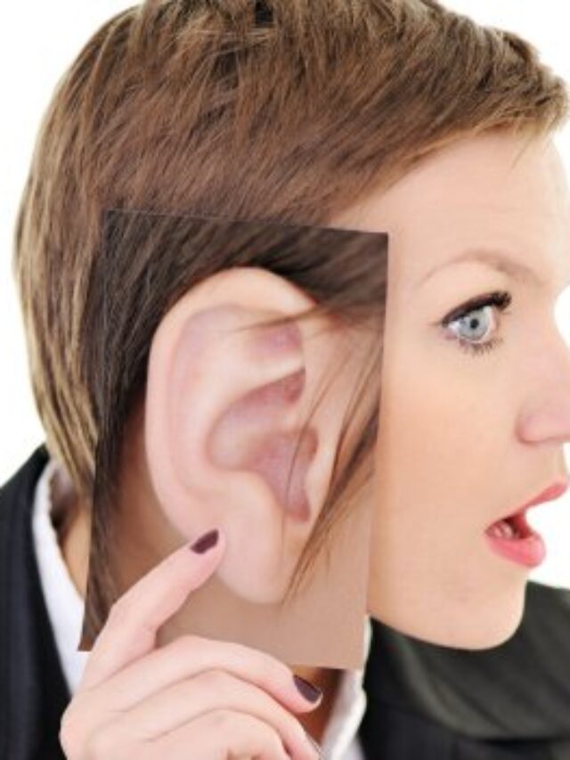 The Human Ear Structure And Function Of Ear the-human-ear-structure-and-function-of-ear