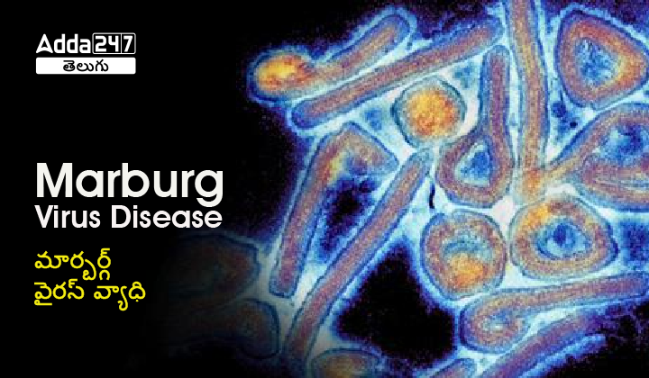Marburg Virus Disease - Symptoms, Prevention and Control & More Details