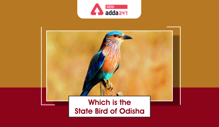 Which is the state bird of Odisha?- National Bird Of Odisha