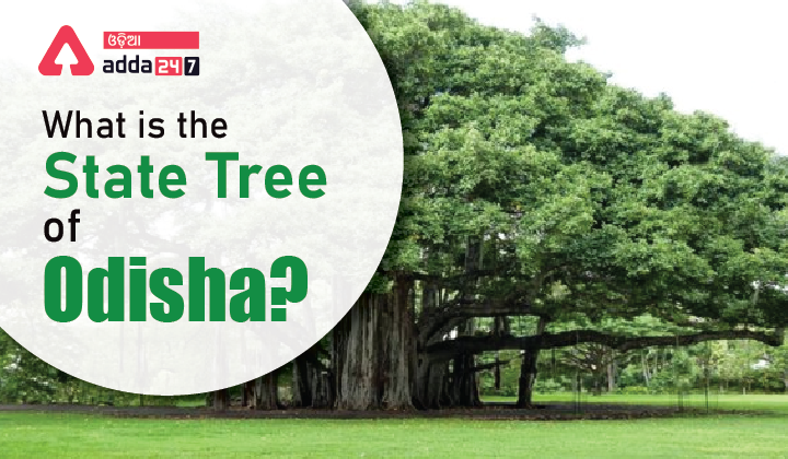 What is the State Tree of Odisha?