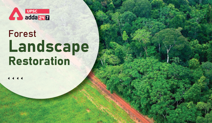 Forest Landscape Restoration