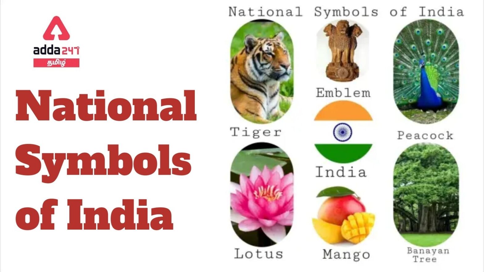 National Symbols of India, List of National Symbols and their Significance