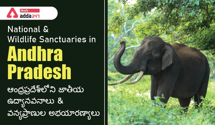 National Parks & Wildlife Sanctuaries in Andhra Pradesh