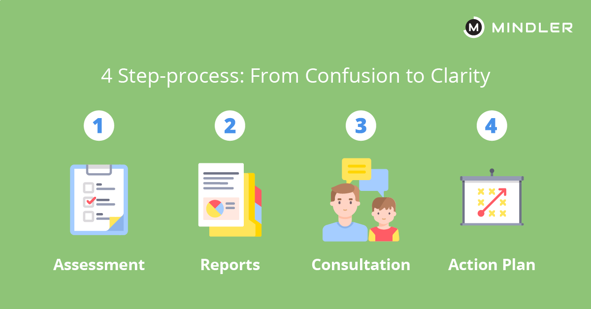 Mindler's Career Counselling Process, importance, and benefits