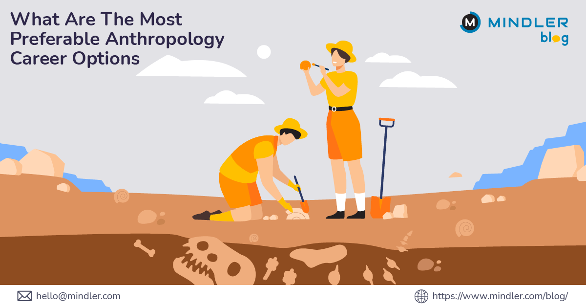 What are the Most Preferable Anthropology Career Options?