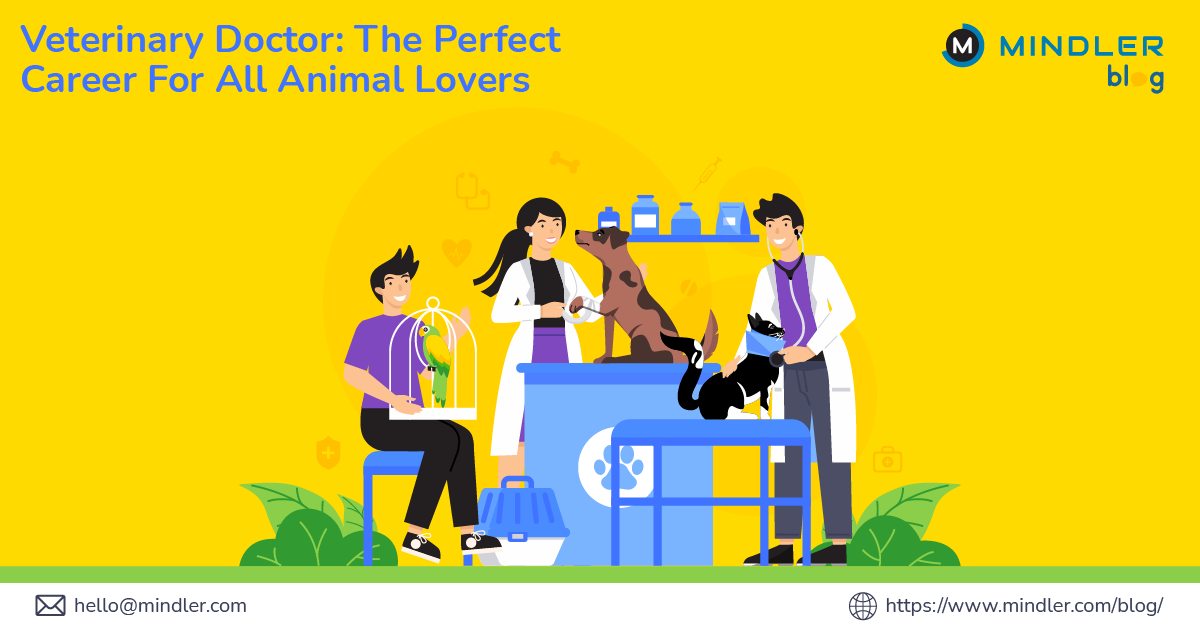 Veterinary Doctor: The Perfect Career For All Animal Lovers