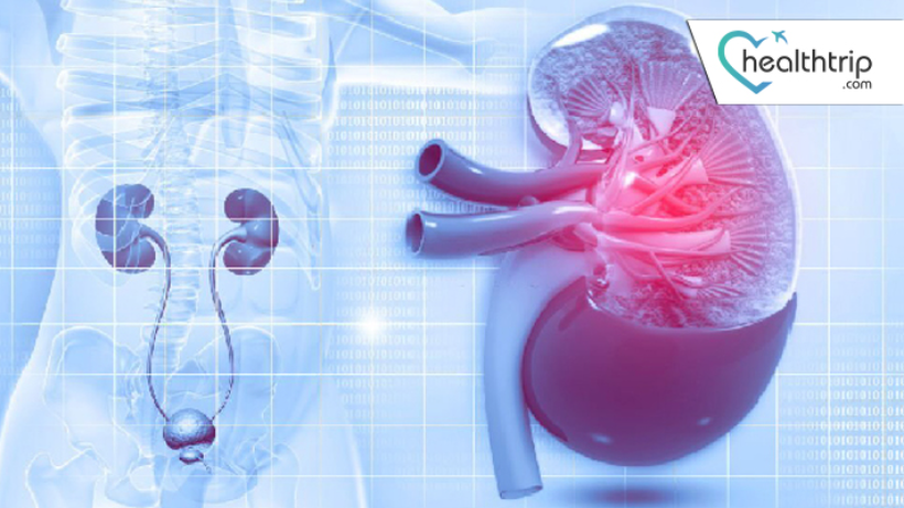 Burjeel's Urology: Urinary Tract & Male Reproductive Care | HealthTrip