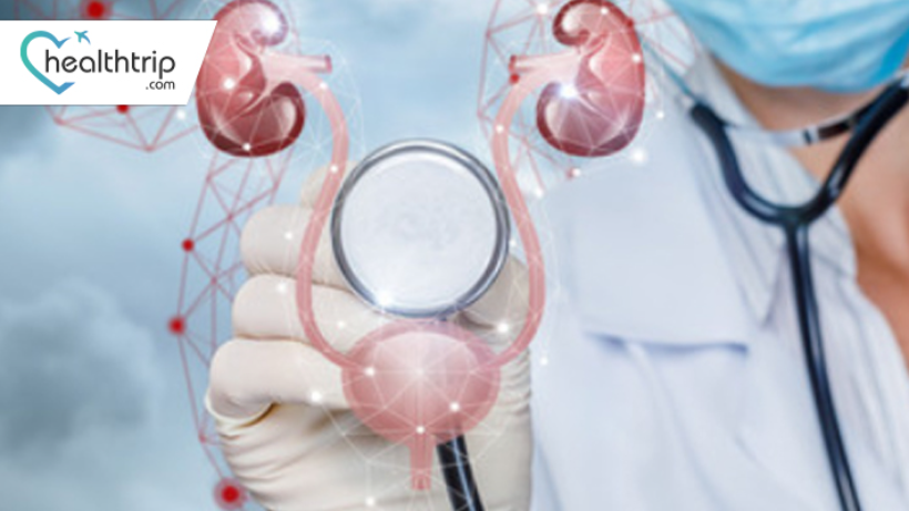 Navigating Urinary Health: An In-depth Guide | HealthTrip