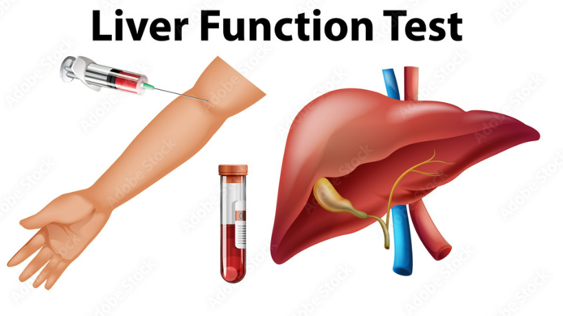 Understanding all about Liver Function Tests
