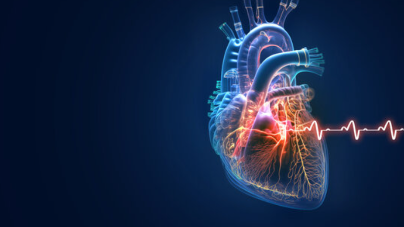 Congenital Heart Disease(CHD) :Heart's Odyssey | HealthTrip