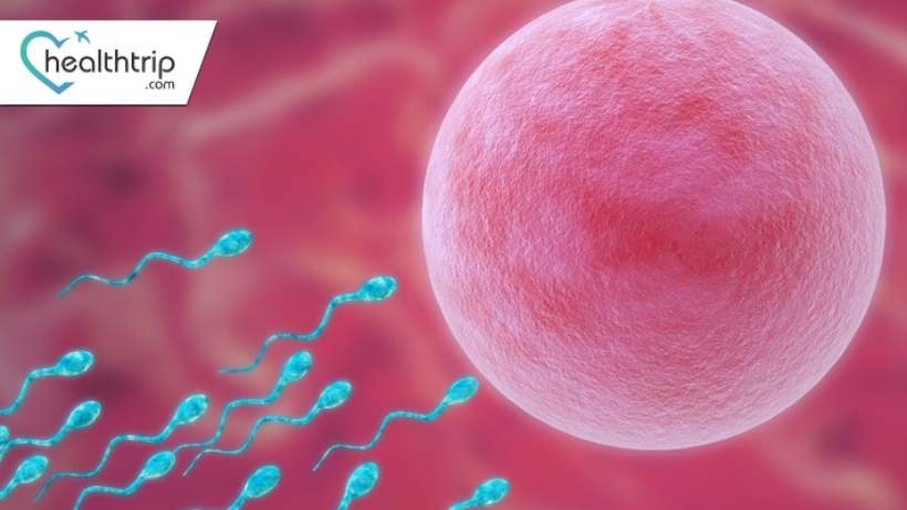 Pembekuan Embrio di Thailand: Panduan Komprehensif