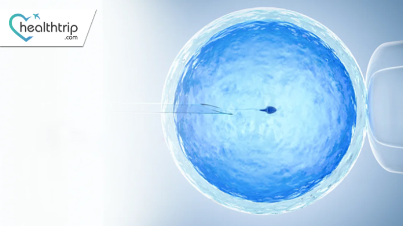 Navigating Parenthood: Your Guide to ICSI in the UAE | HealthTrip