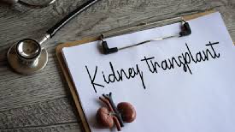 ?Post-Kidney Transplant Care for Optimal Recovery | HealthTrip