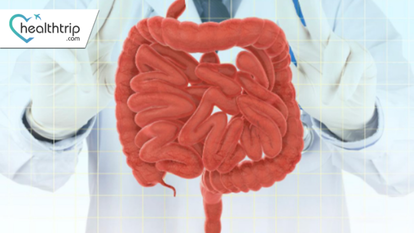 Inside Out: Understanding the Intricacies of Intestine Transplantation ...