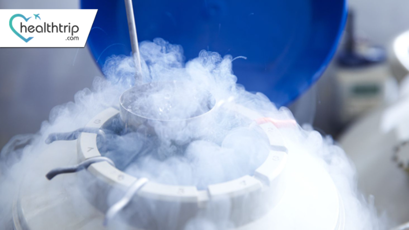 L'ABC de la congélation des œufs | HealthTrip