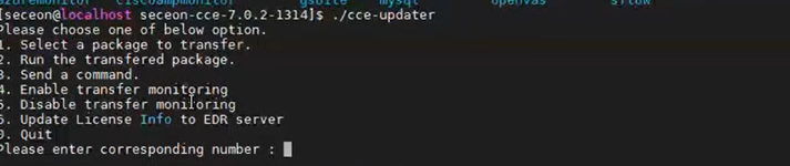 Multiple CCE Upgrade : Support Services