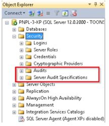 Microsoft SQL Server through NXLog : Support Services