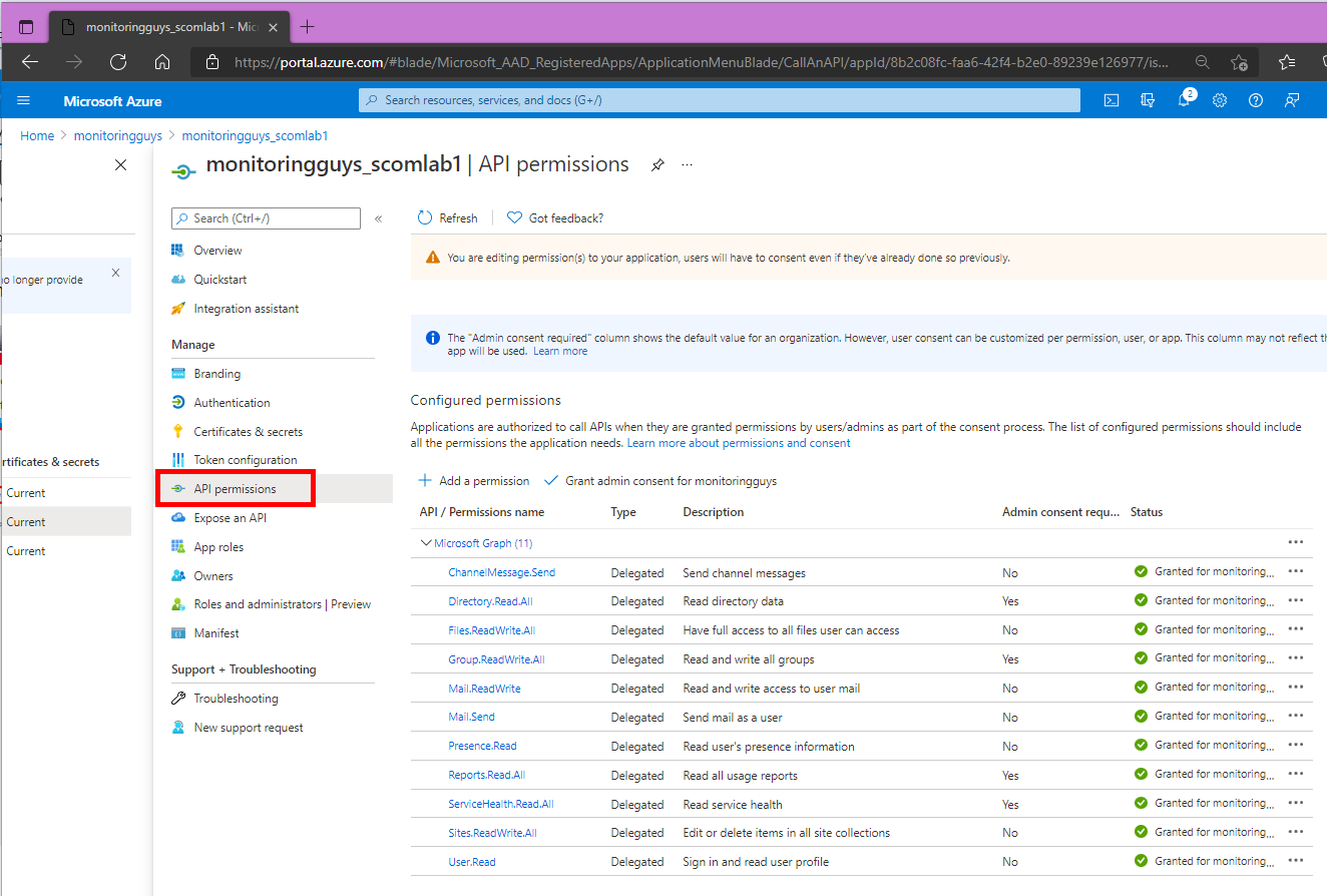 Setup API Permission On Azure : Support Services