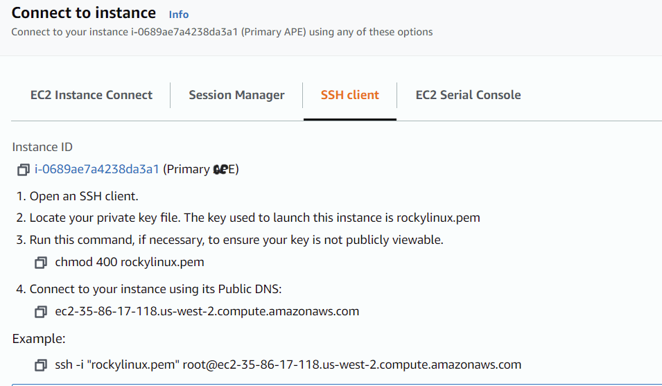 Installation of Rocky Linux 8 on AWS Ec2 Instance for CCE : Support Services