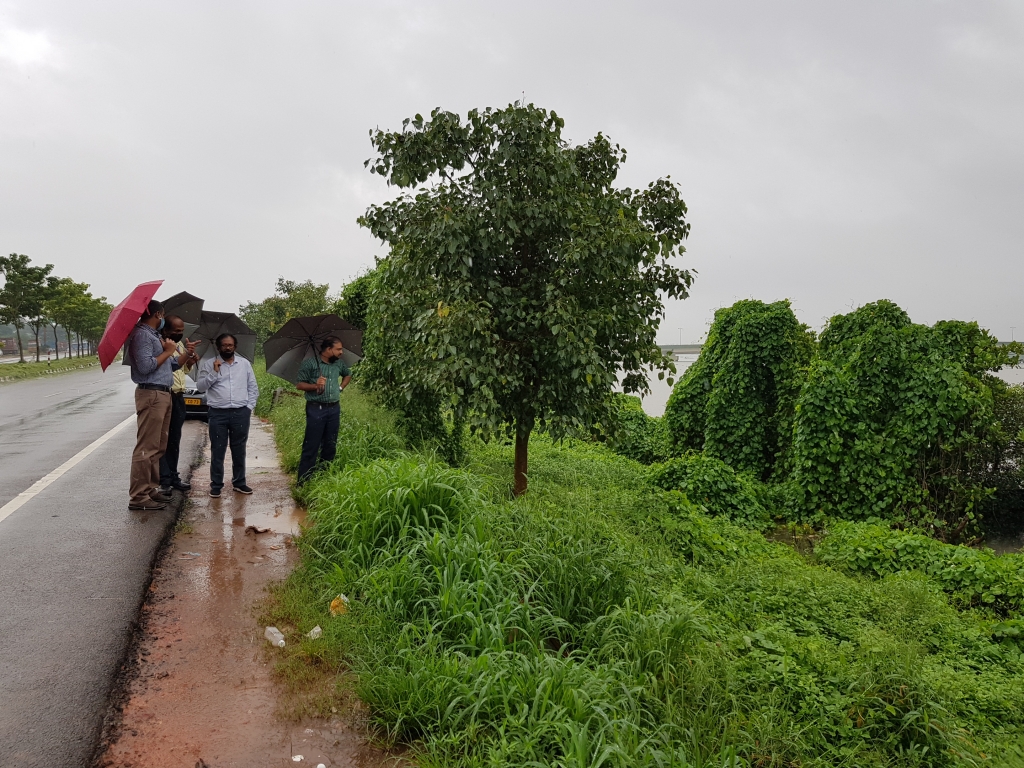 Dredge spoil disposal site-07-08-20 - Kochi Metro Rail Ltd.