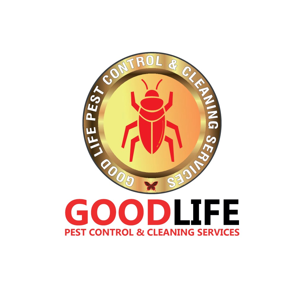Top Pest Control Companies, Services and Solutions in Dubai