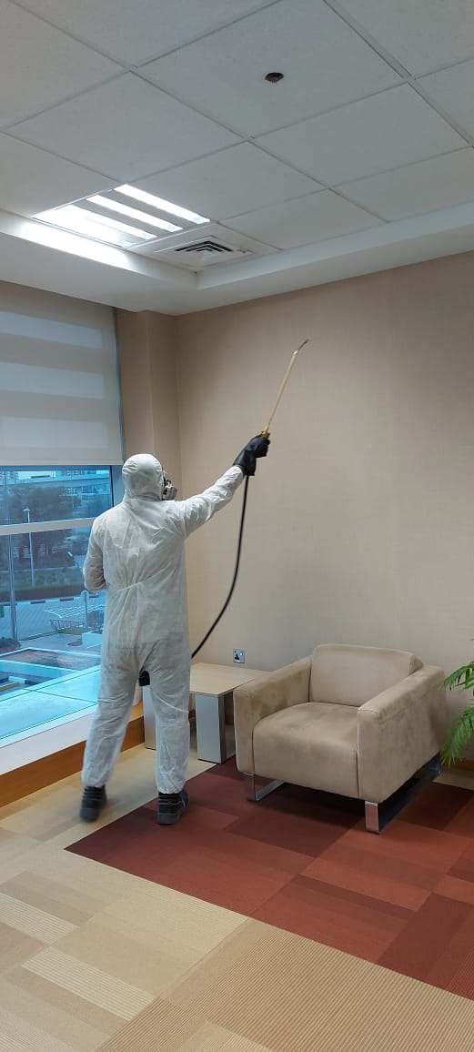 Top Pest Control Companies, Services and Solutions in Dubai
