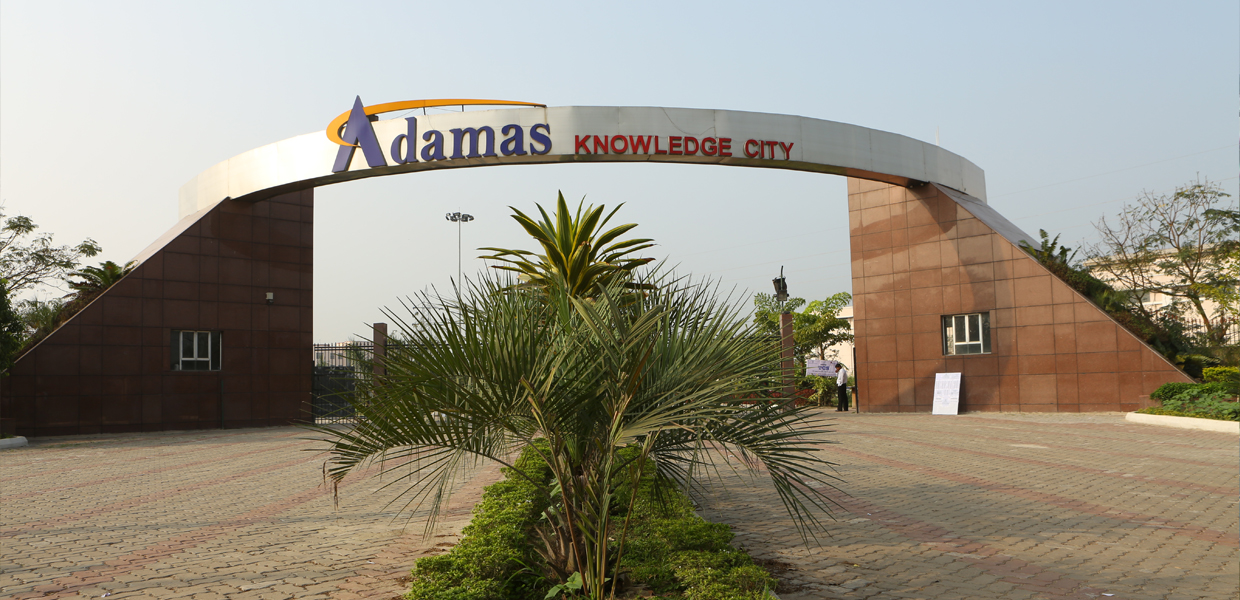 RICE, The Precursor | Adamas University