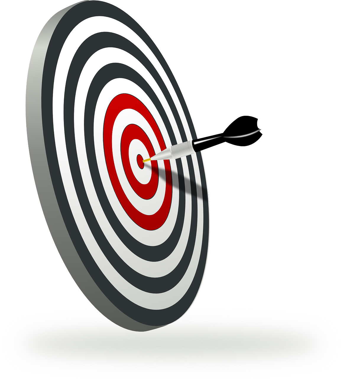 Objectives And Functions Of IQAC Qaa
