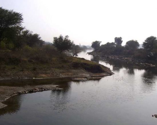 Reviving Rivers: Stories of Environmental Restoration