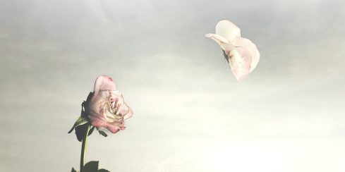 Happiness | Wellbeing | Spirituality | Soulveda