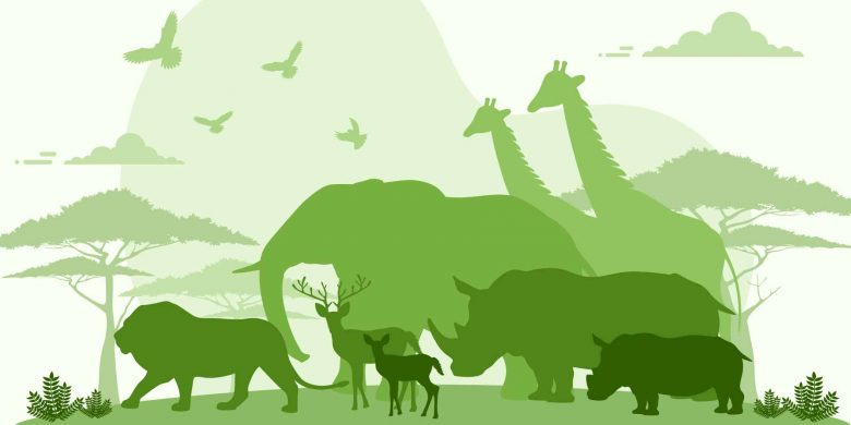 Protеcting Wildlifе:World Wildlifе Consеrvation Day