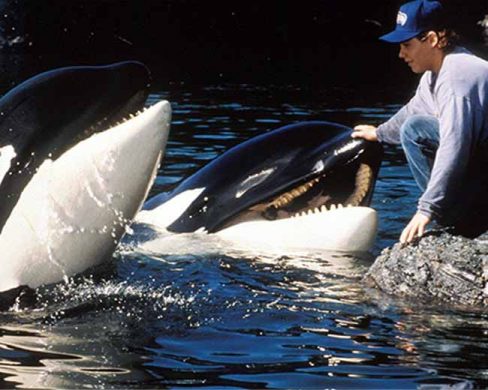 Emotional Movies Celebrating Human-Animal Bonds for National Pet Day