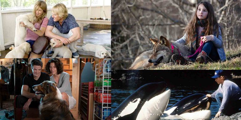 Emotional Movies Celebrating Human-Animal Bonds for National Pet Day