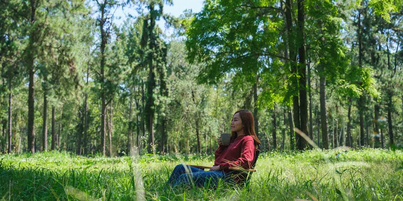 World Environment Day: Boost Wellbeing with Tree Therapy