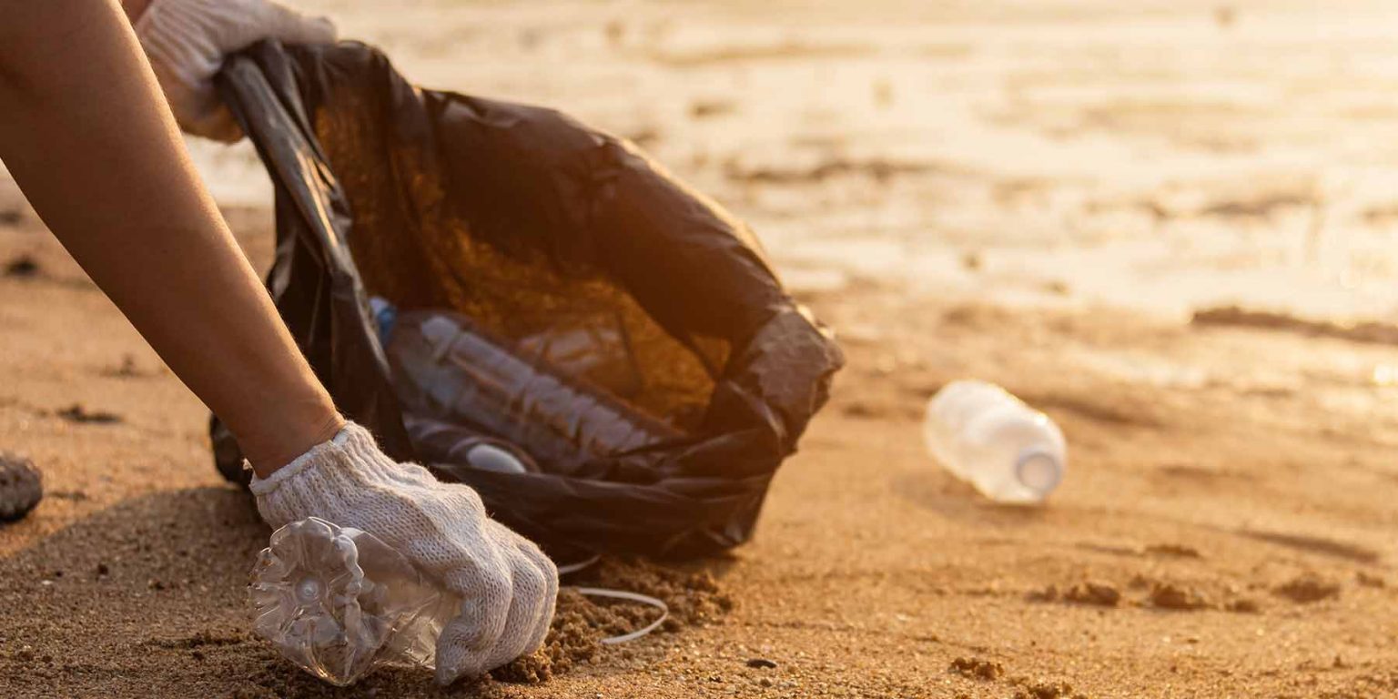 World Oceans Day: Save Marine Life and Protect Our Oceans