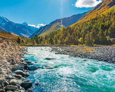 Discover Chitkul: India's Last Village at the End of the World
